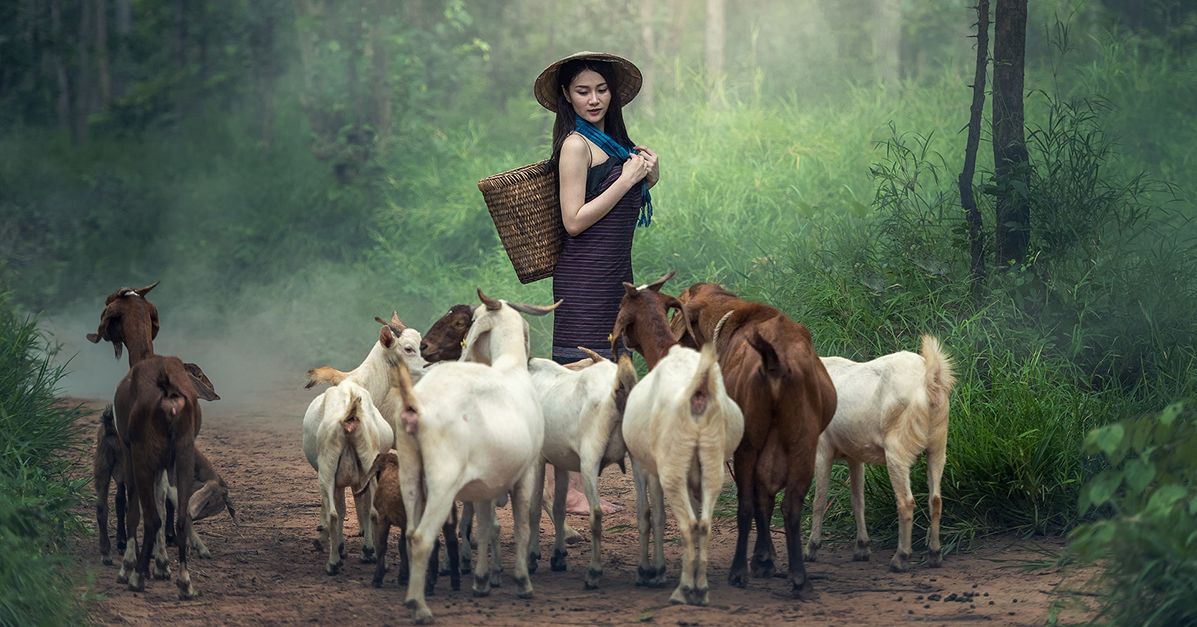 Goat Stewardship: Ethical, Humane, Conscientious Goat Raising/Husbandry