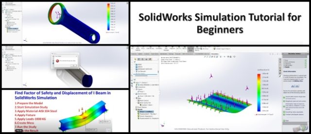 Tending the Human Garden: 6 Comprehensive Strategies